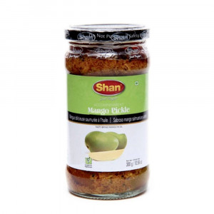 Shan Foods Pakistan - Shan Foods Products Online Order & Delivery ...