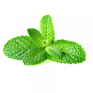 Buy Exotic Herbs & Veg. : Fruits & Vegetables online - GrocerApp