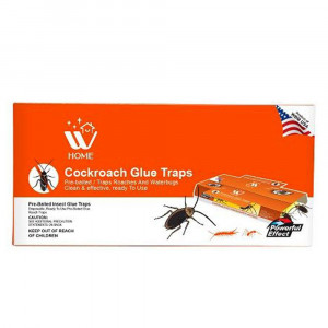 Buy Kingtox Mosquito Repellent Coil At Best Price - GrocerApp