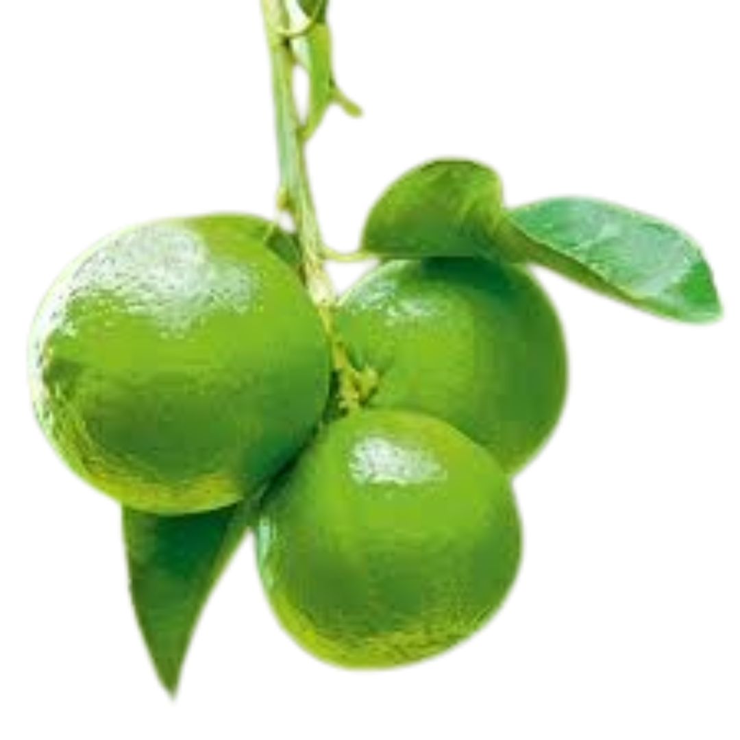 Lemon China 225 - 250g لیموں