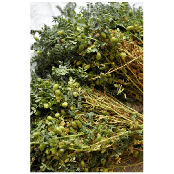 Buy Choliya - چھولیا At Best Price - GrocerApp