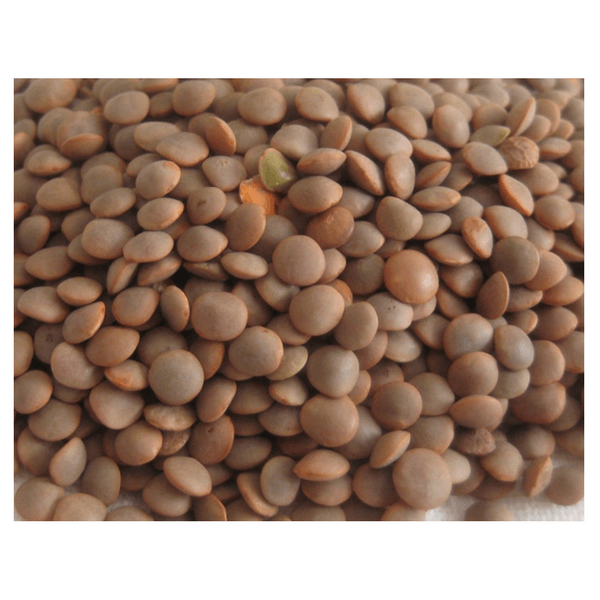 Buy Dal Malka Masoor At Best Price - GrocerApp