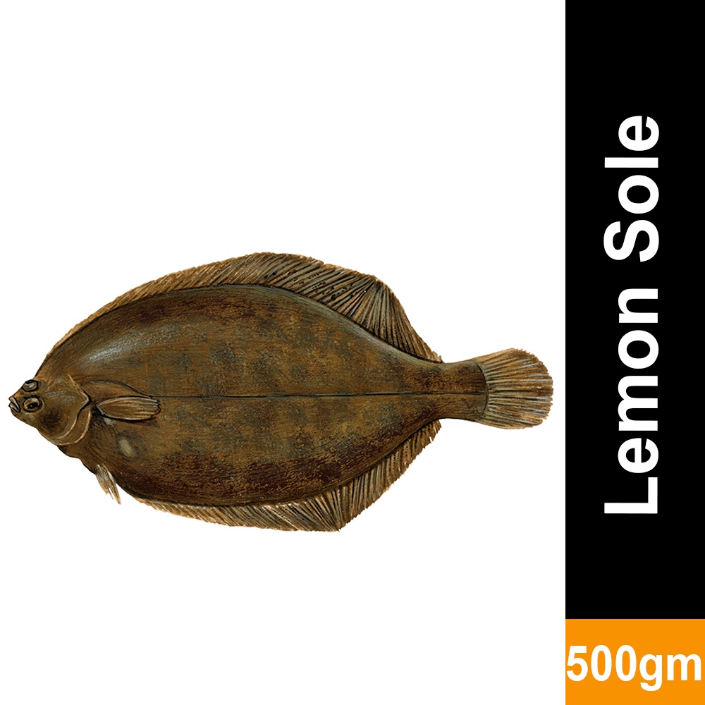 Buy Lemon Sole At Best Price - GrocerApp