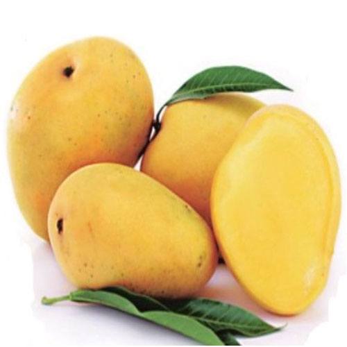Buy Mango Chunsa - At Best Price - GrocerApp