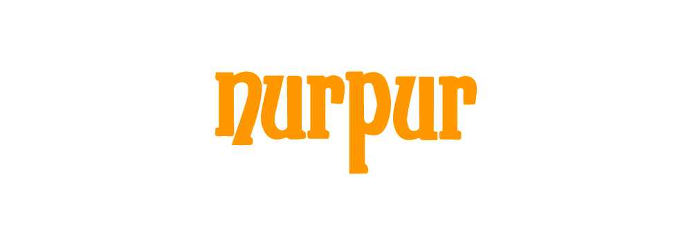 Nurpur Pakistan - Nurpur Products Online Order & Delivery - GrocerApp