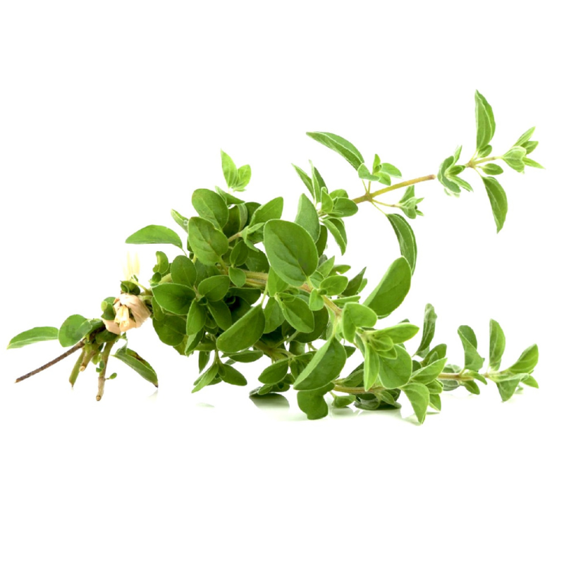 Buy Oregano - Heirloom farms At Best Price - GrocerApp