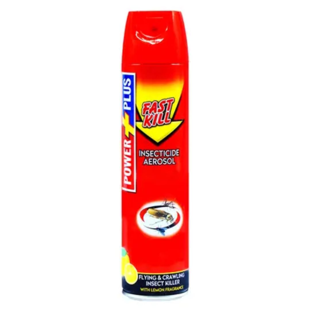 Buy POWER PLUS FAST KILL INSECTICIDE AEROSOL LEMON At Best Price ...
