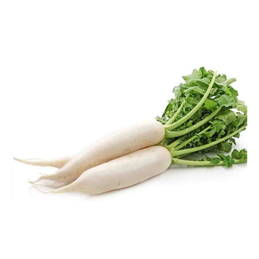 Buy Radish white- مولی سفید۔ At Best Price - GrocerApp