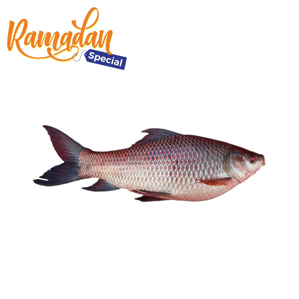 Buy Rahu Fish (Prime Cut) - Almees At Best Price - GrocerApp