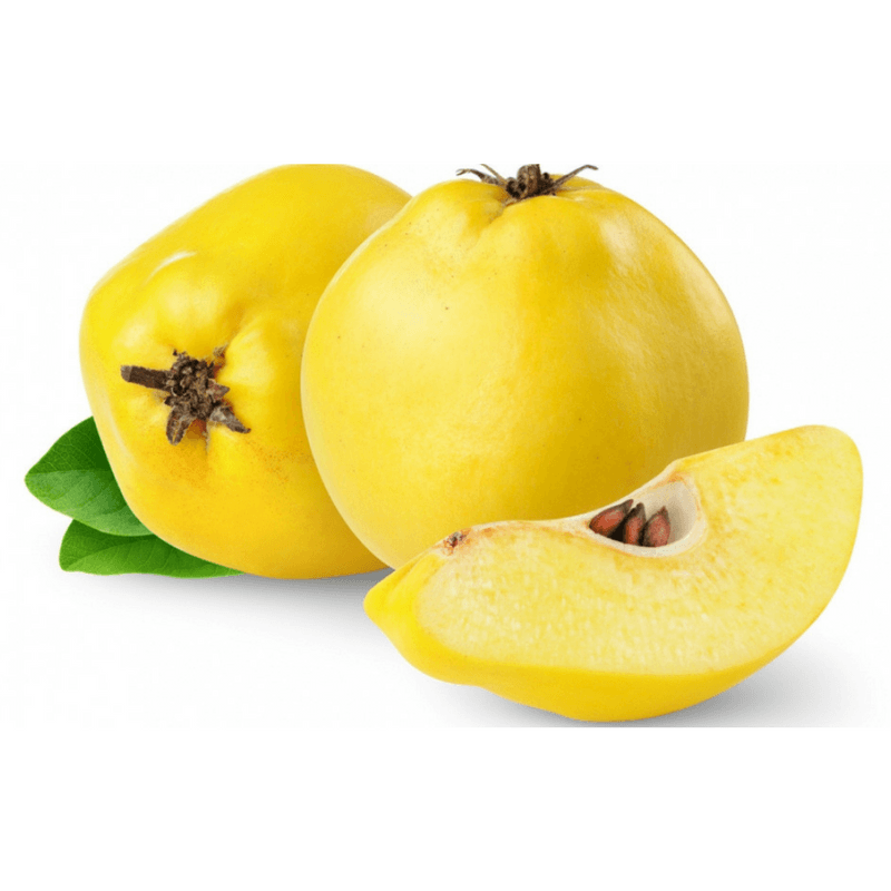 Buy Safar Jal At Best Price - GrocerApp