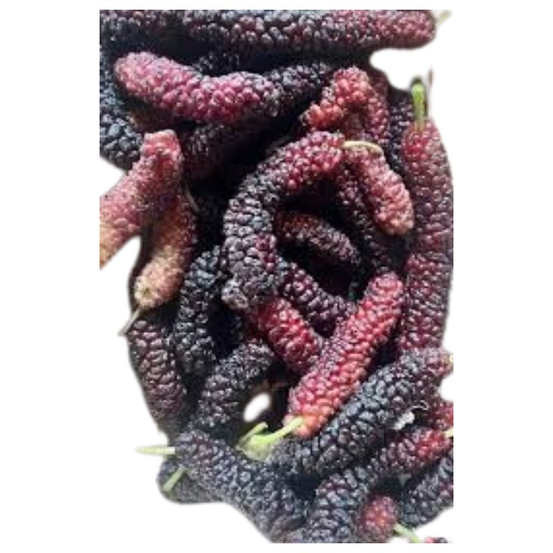 Buy Shahtoot (شاہتوت) At Best Price - GrocerApp